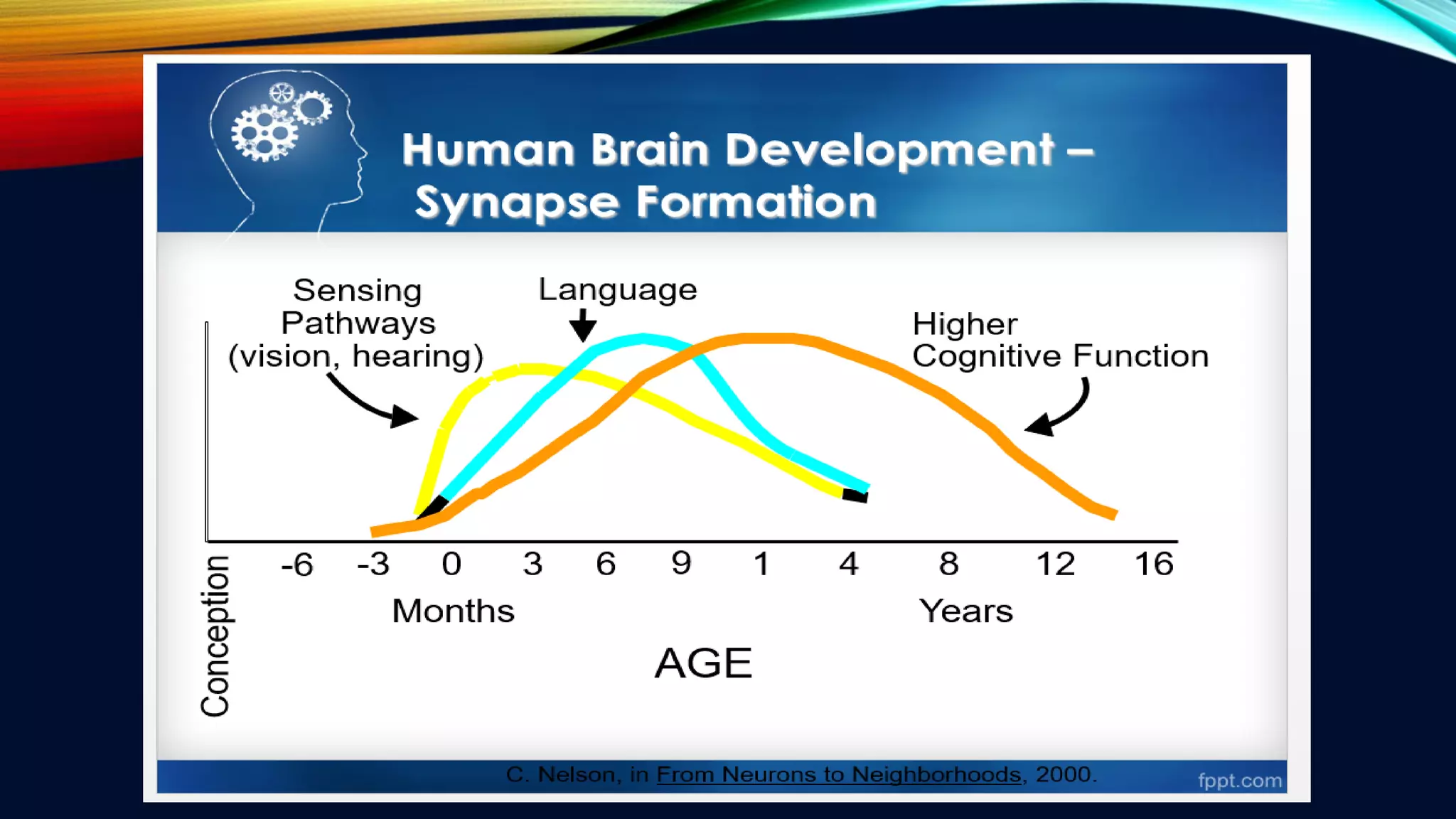 1 Quality ECCD Programs - The Way Forward.pdf
