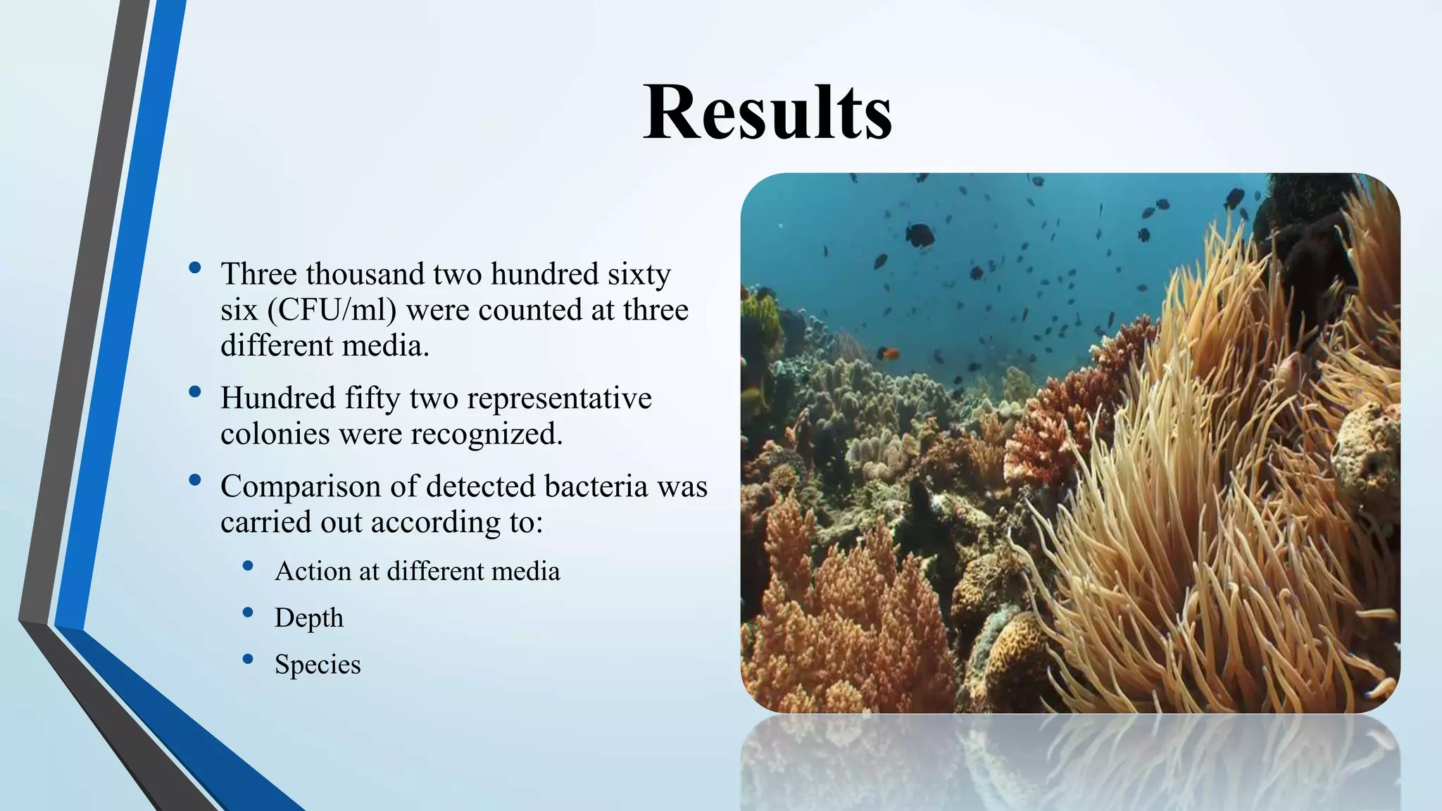 microbial studies on coral mucus | PPT