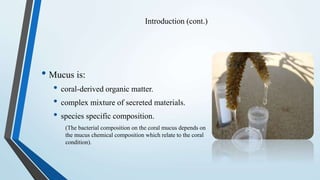 microbial studies on coral mucus | PPTX
