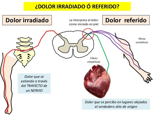 1ra clase-conceptos-y-anamnesis
