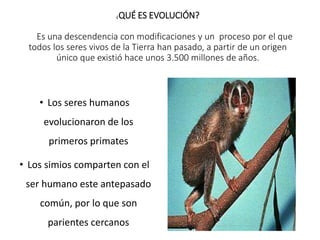 Primeros Primates En La Tierra