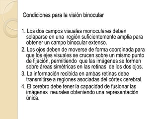 visión binocular | PDF
