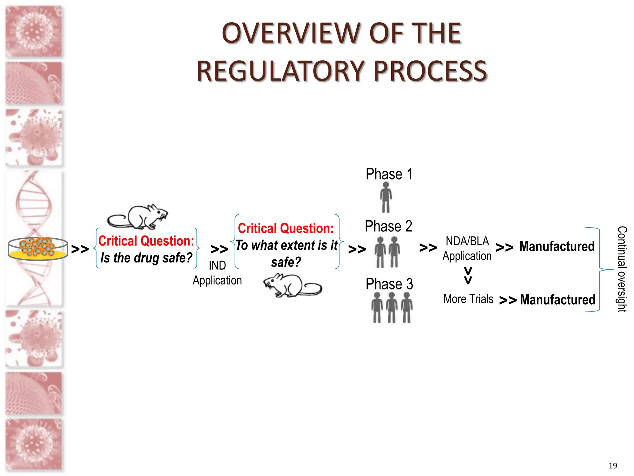 RegulatoryIssues In Drug management cycle | PPT