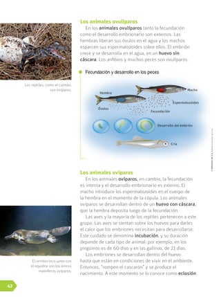 1 Reproducción en plantas y animales .pdf