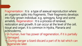 1 reproduction | PPTX