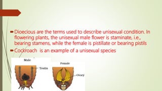 1 reproduction | PPTX