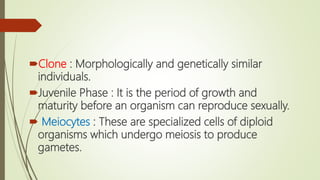 1 reproduction | PPTX