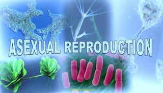 1 reproduction in organisms part 1 Asexual reproduction.pdf