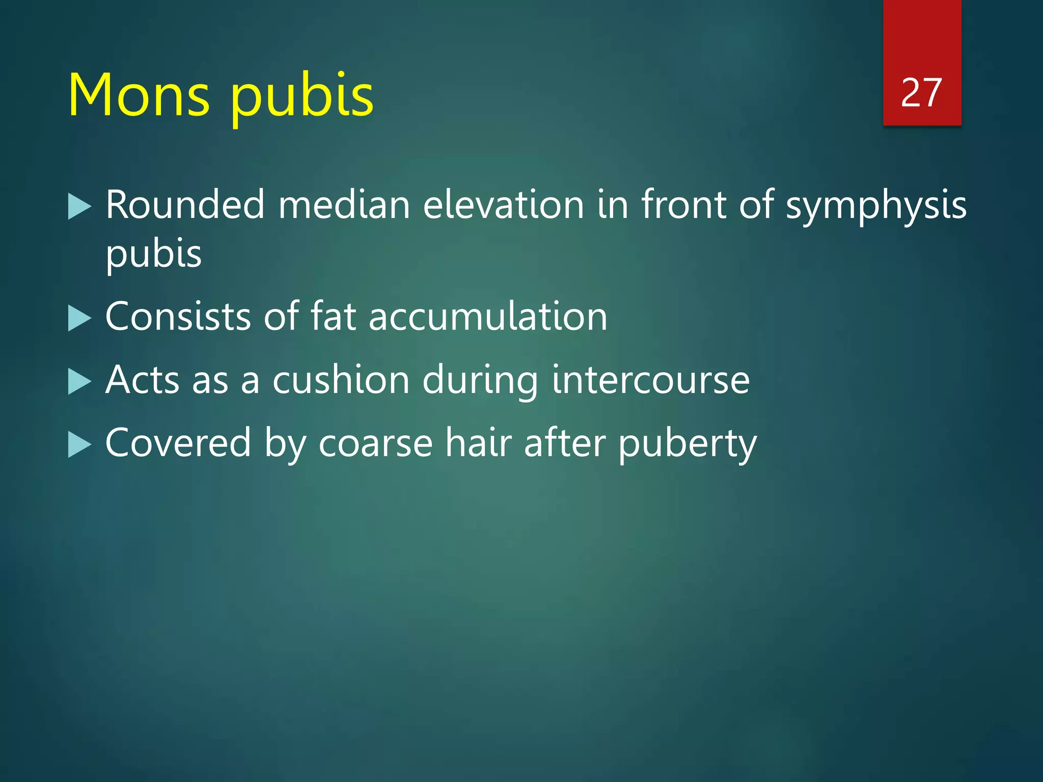 1 Reproductive Anatomy.ppt