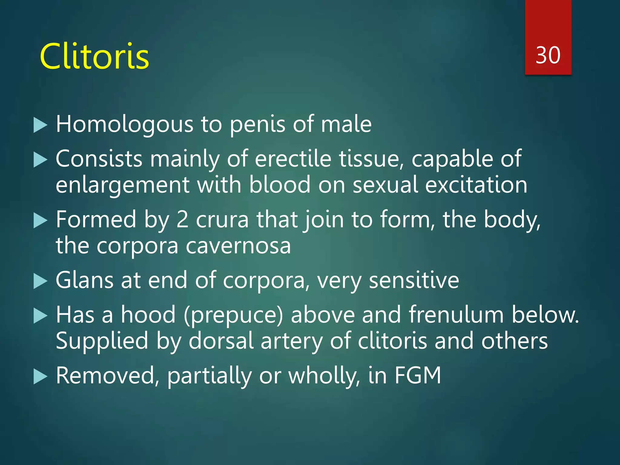 1 Reproductive Anatomy.ppt