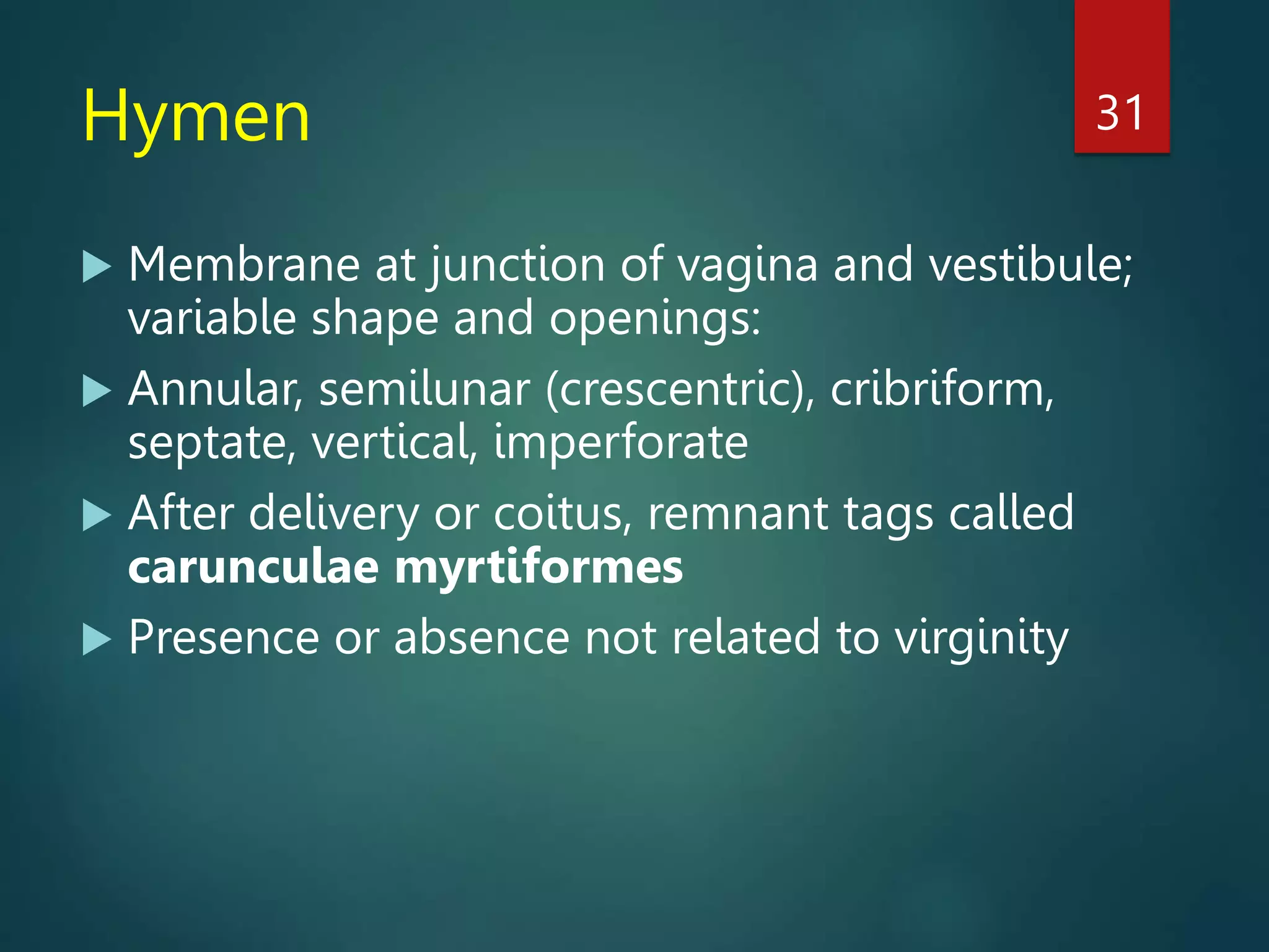 1 Reproductive Anatomy.ppt