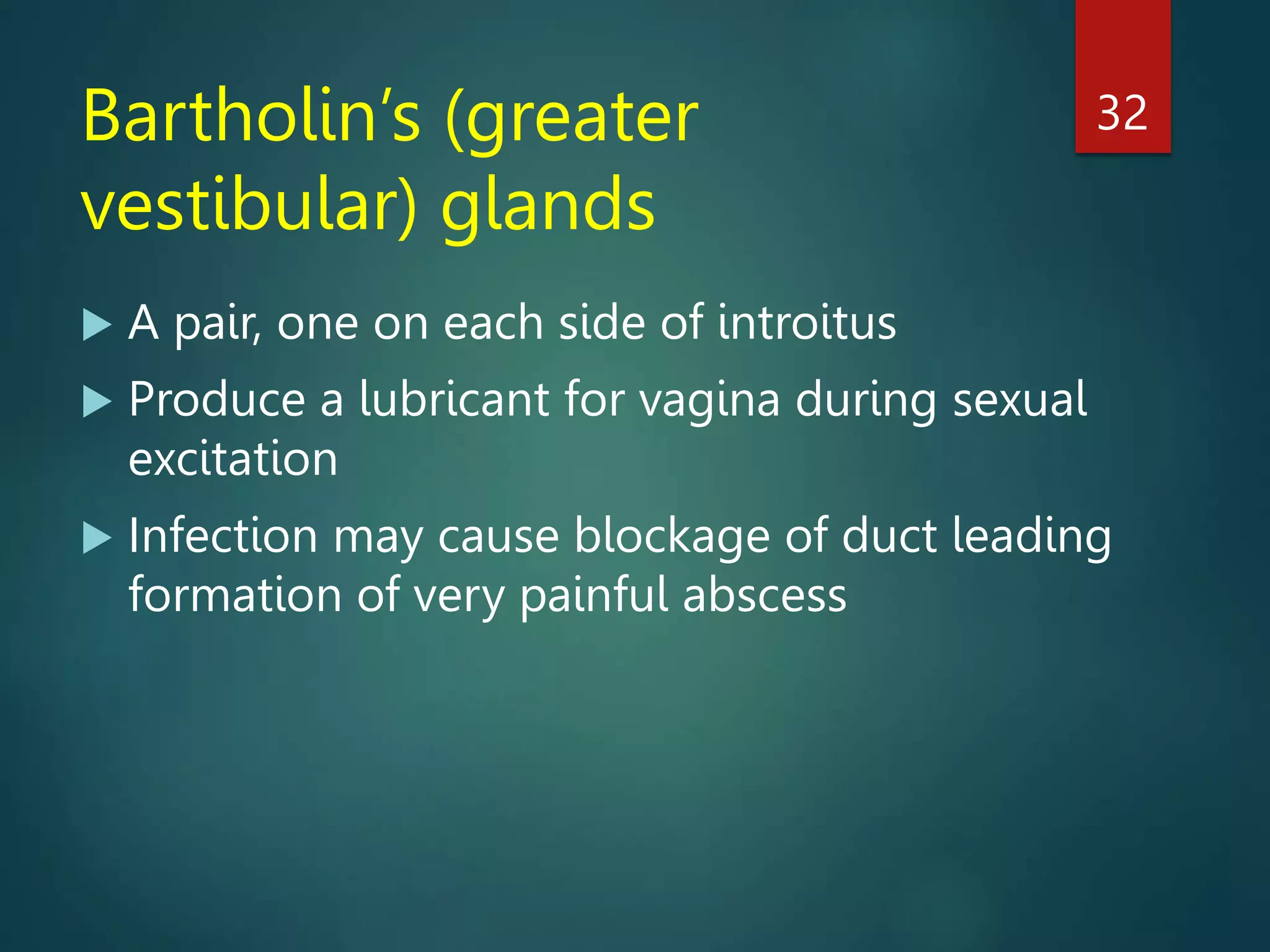 1 Reproductive Anatomy.ppt