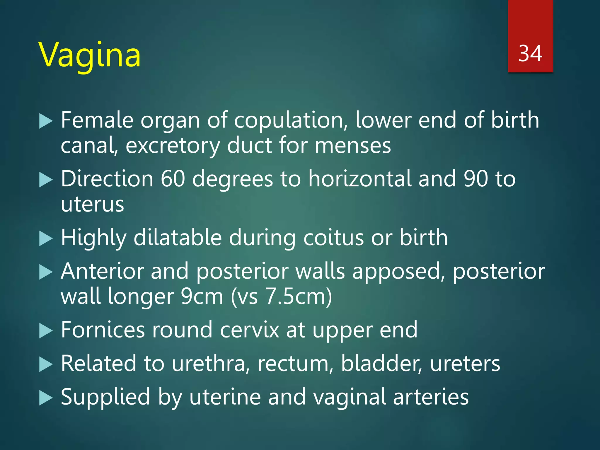 1 Reproductive Anatomy.ppt