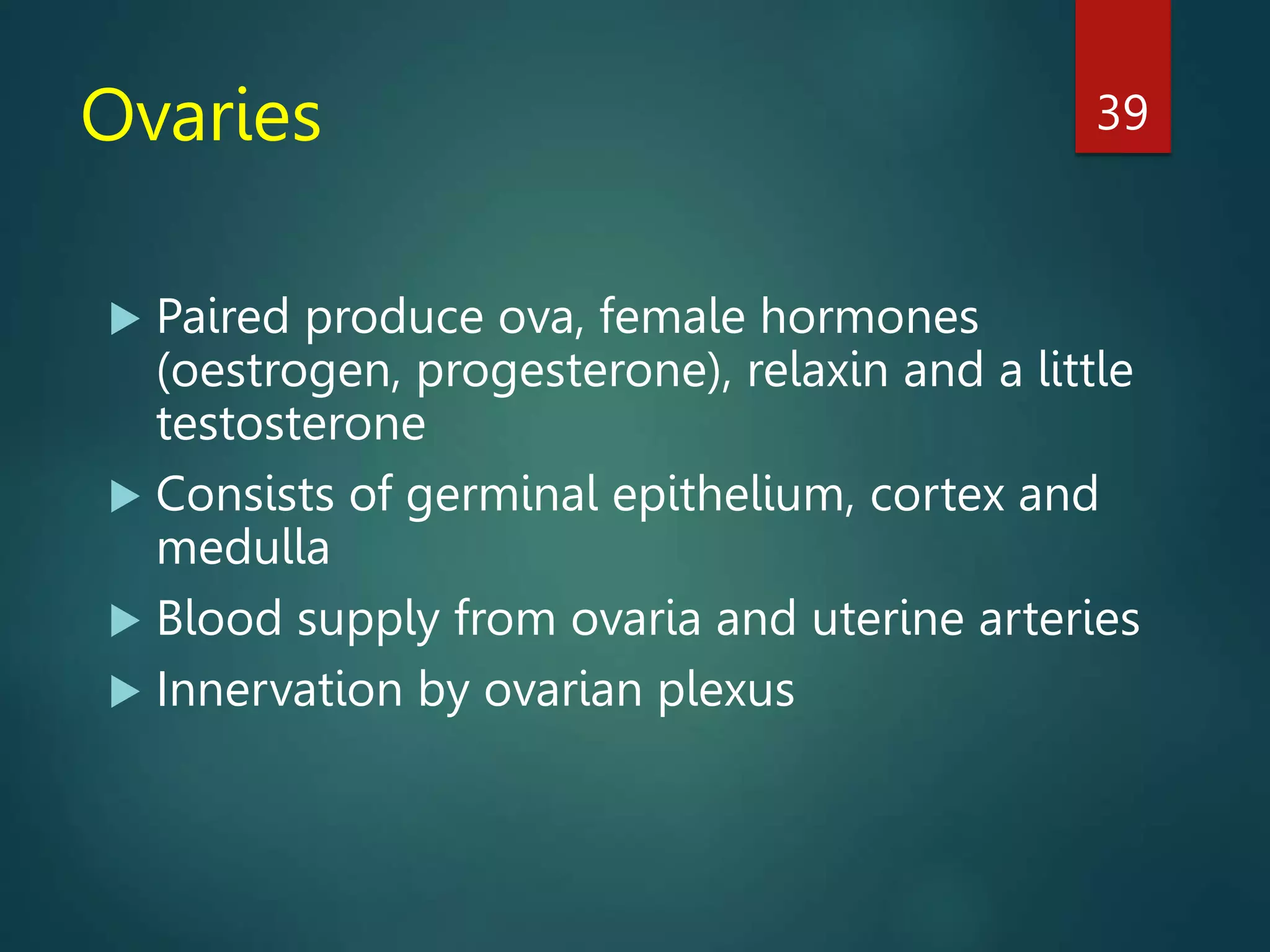 1 Reproductive Anatomy.ppt