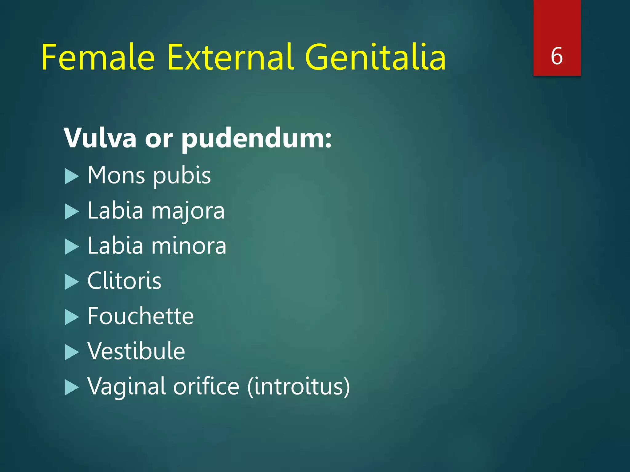 1 Reproductive Anatomy.ppt