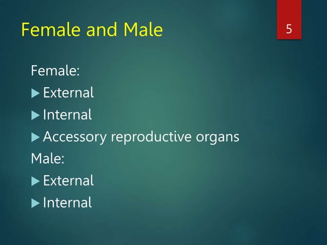 1 Reproductive Anatomy.ppt