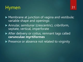 1 Reproductive Anatomy.ppt