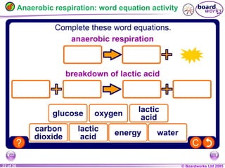 Respiration 8th grade science Presentation | PPT