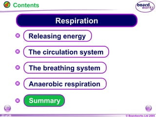 Respiration 8th grade science Presentation | PPT