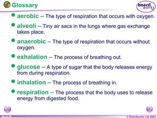 Respiration 8th grade science Presentation | PPT