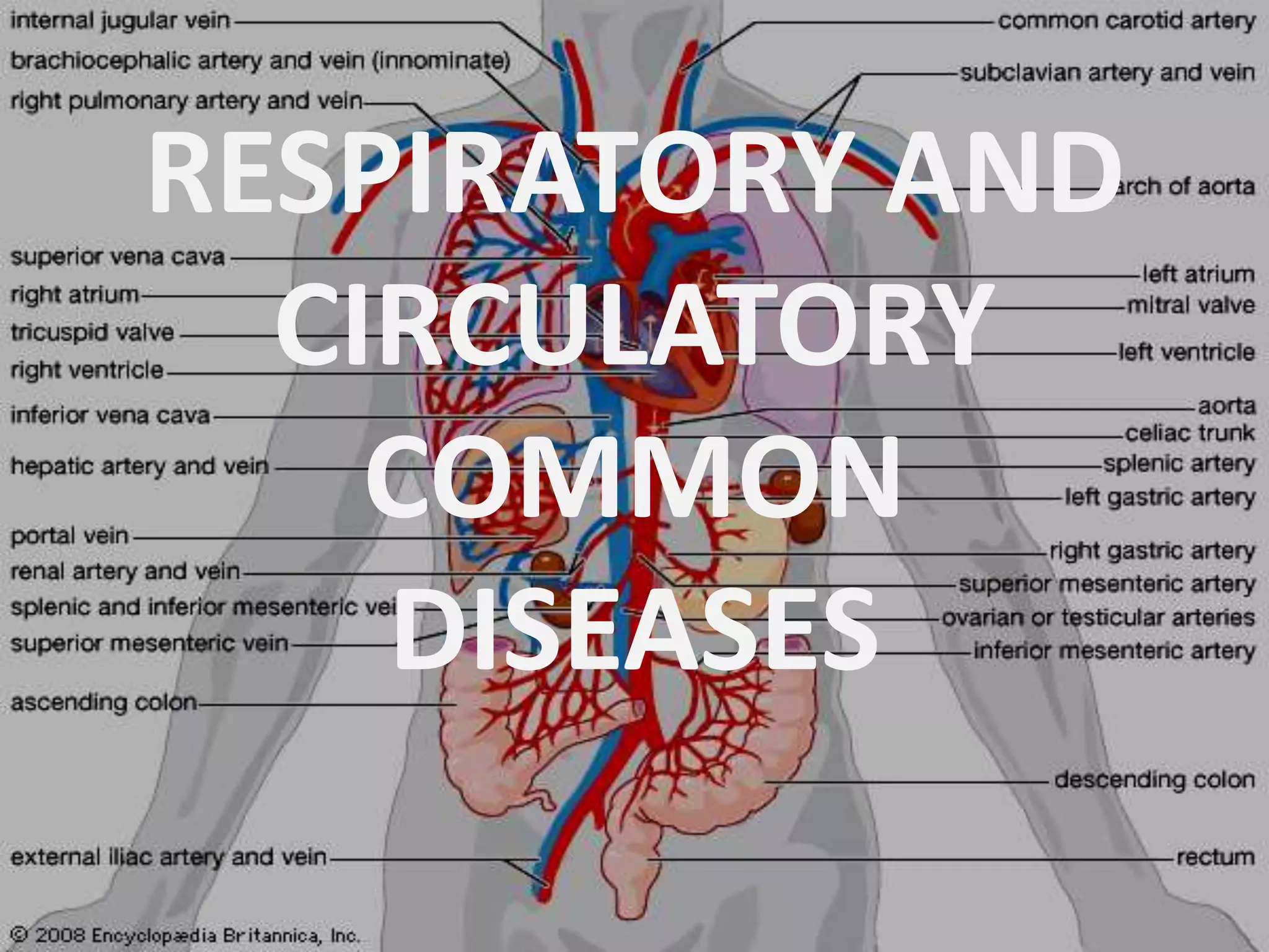 1 respiratory and circulatory common diseases | PPTX