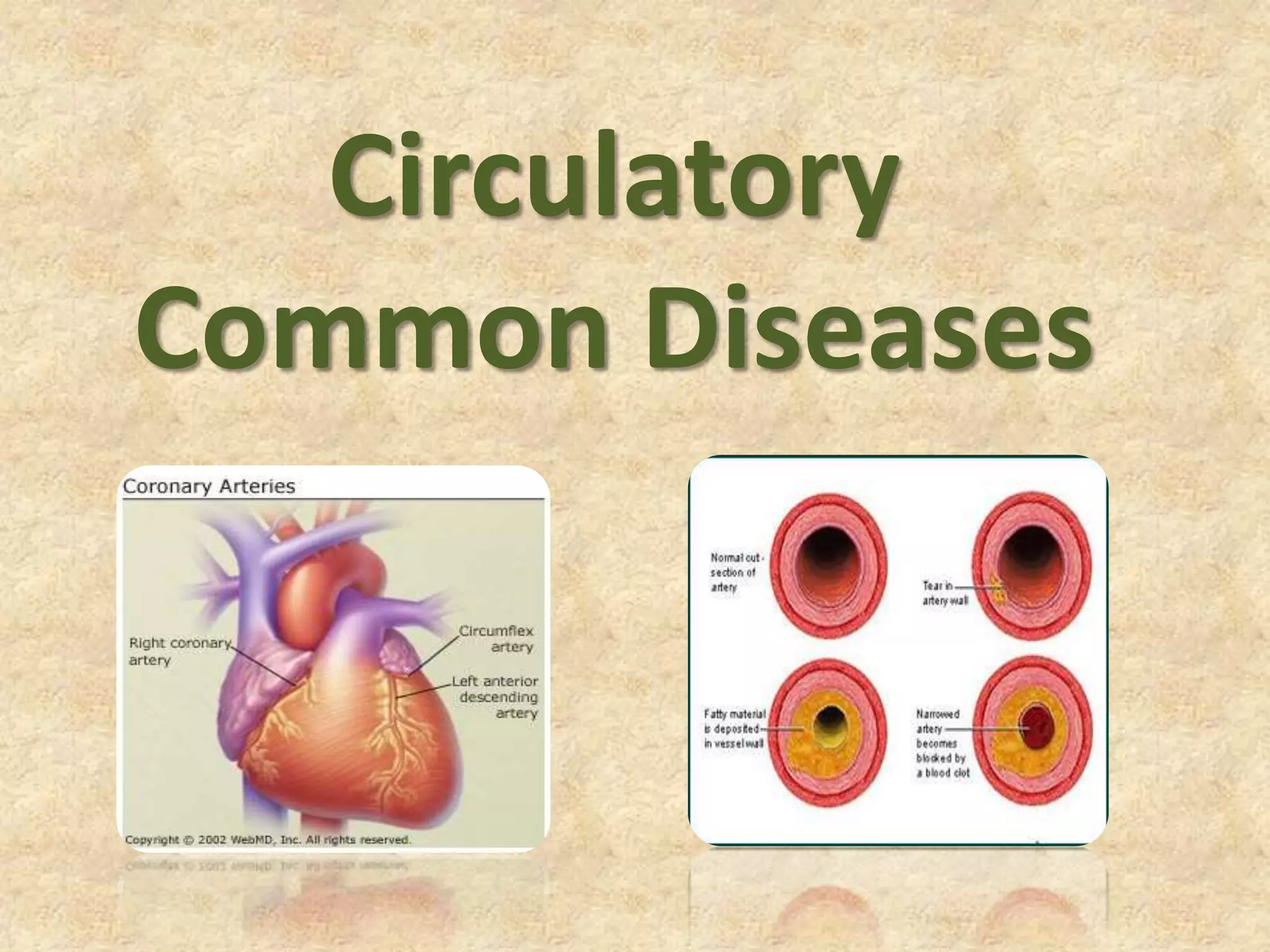 1 respiratory and circulatory common diseases | PPTX