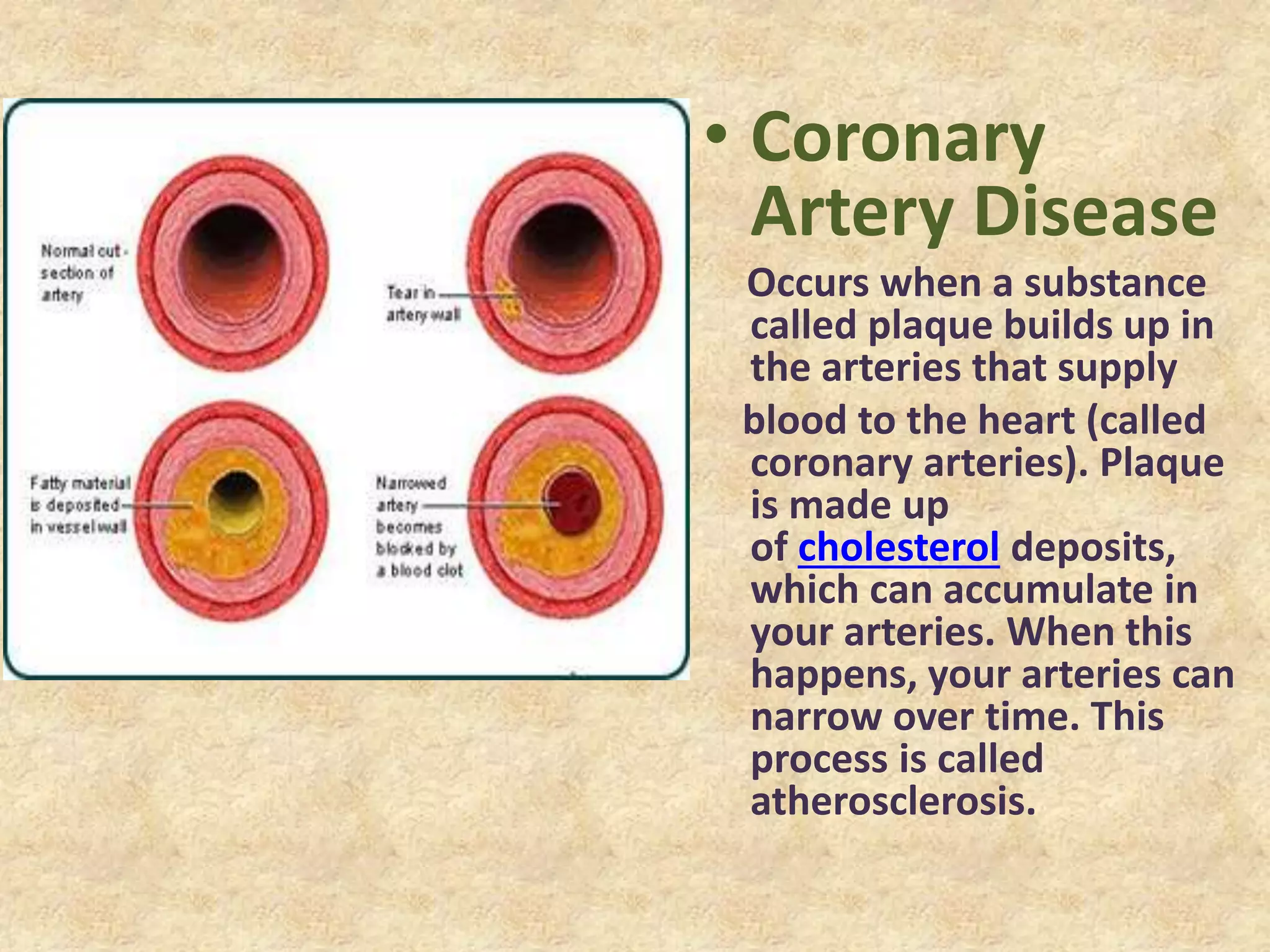 1 respiratory and circulatory common diseases | PPTX