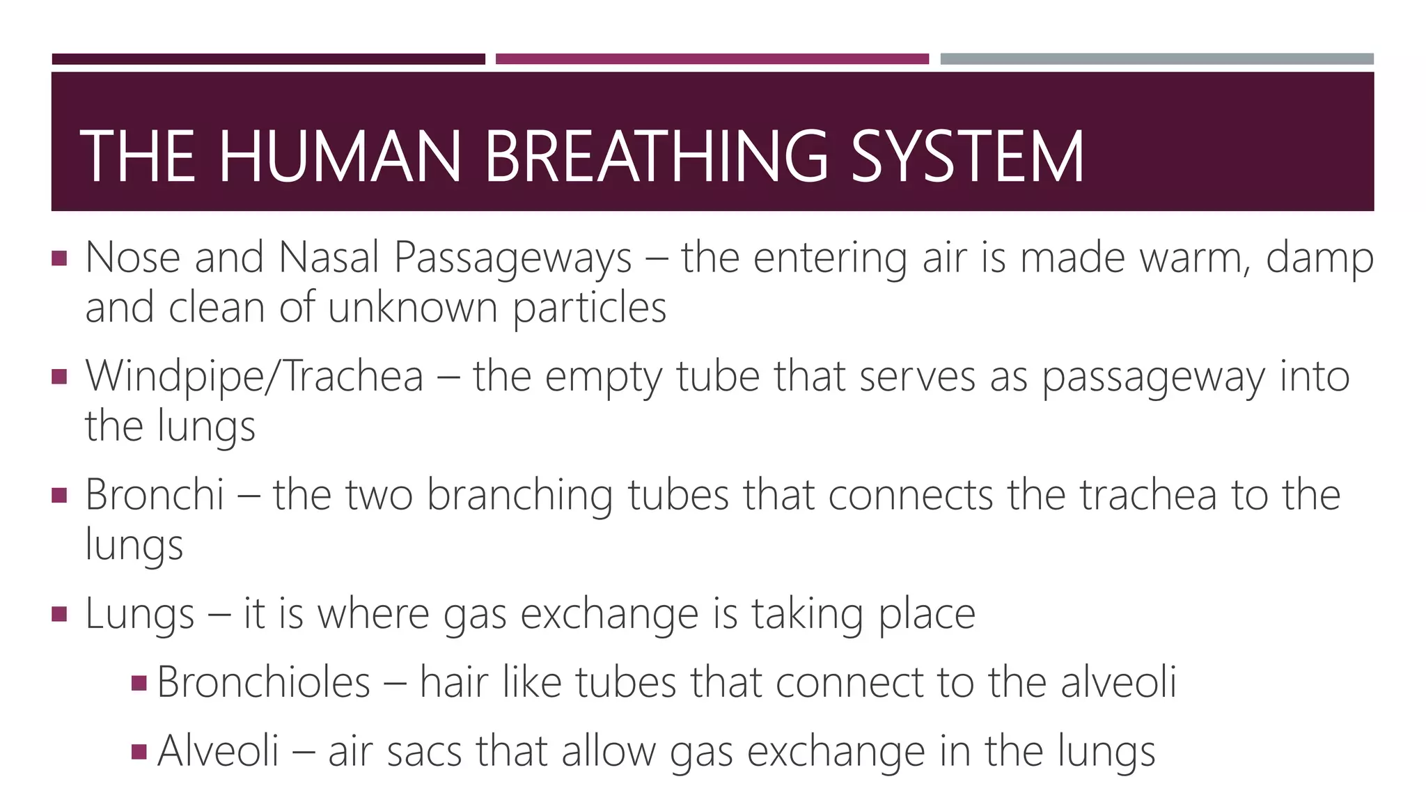 Respiratory and Circulatory Systems | PPTX