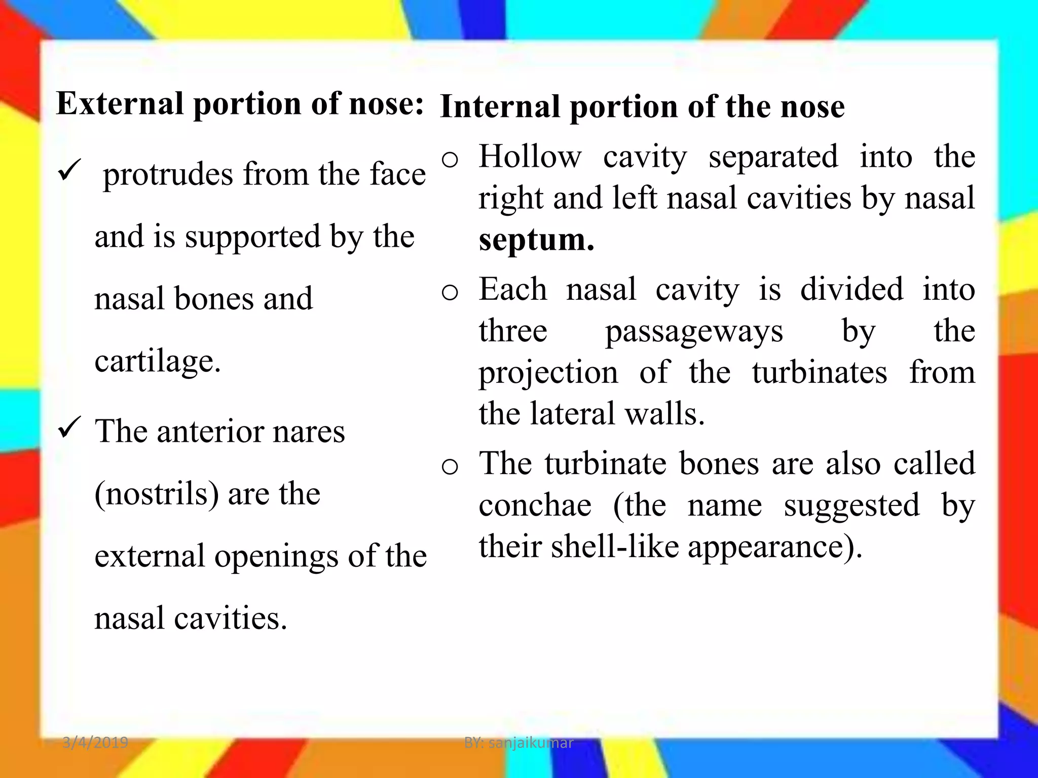 Review of anatomy and physiology of respiratory system | PPTX