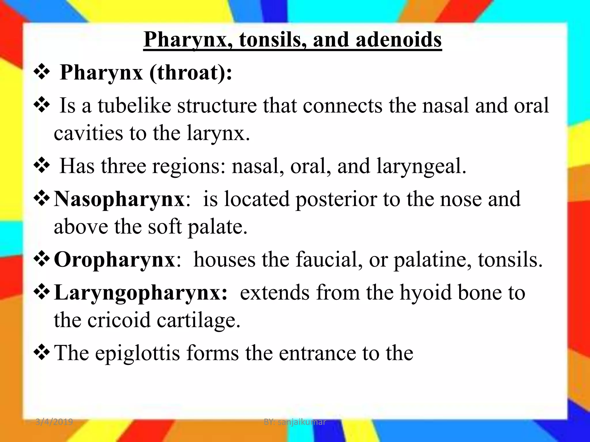 Review of anatomy and physiology of respiratory system | PPTX
