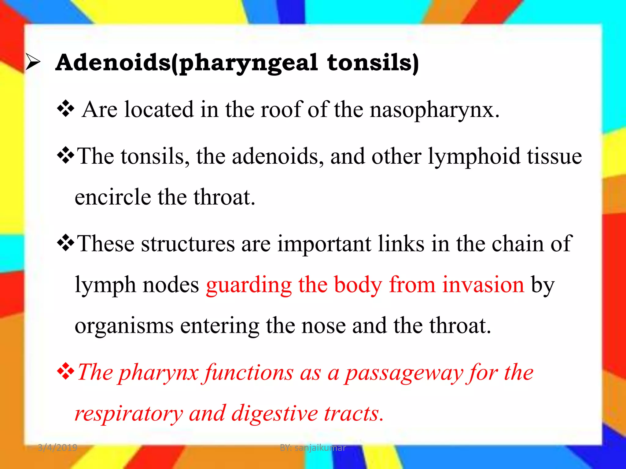 Review of anatomy and physiology of respiratory system | PPTX