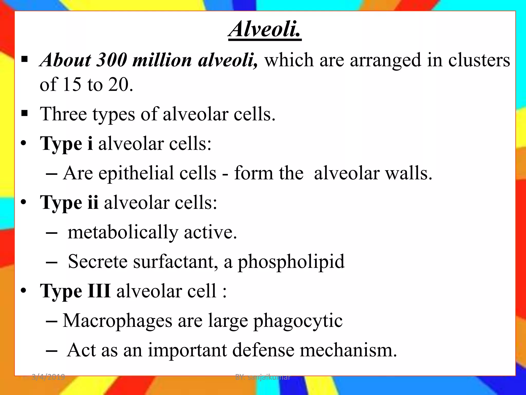 Review of anatomy and physiology of respiratory system | PPTX