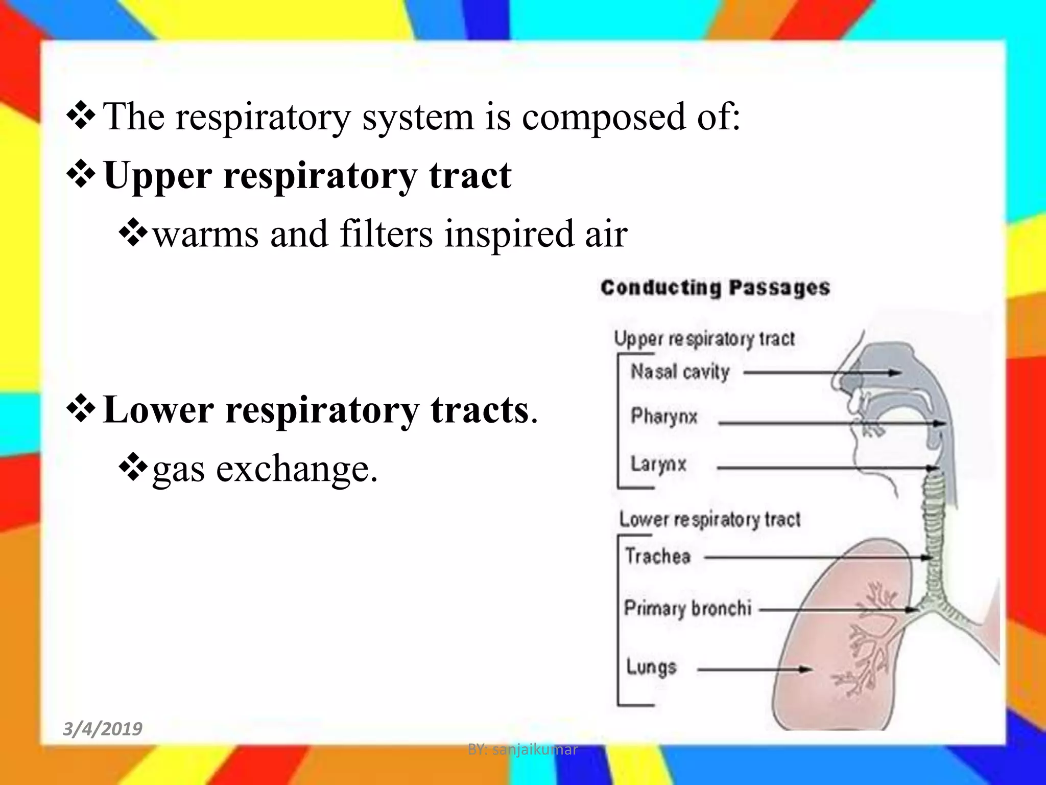 Review of anatomy and physiology of respiratory system | PPTX
