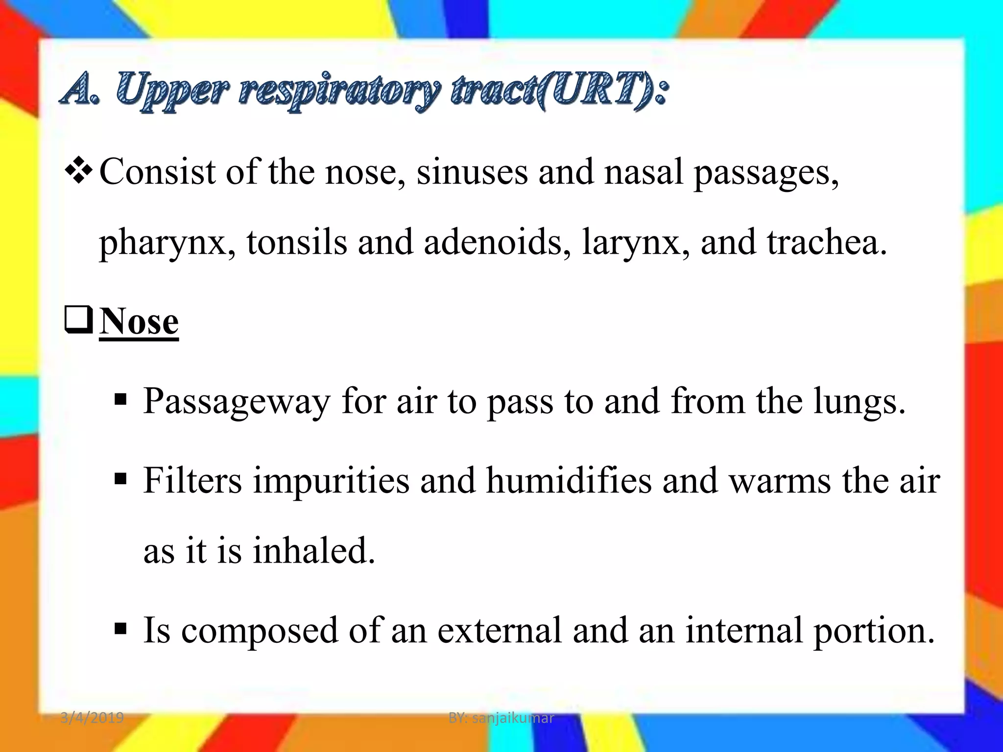 Review of anatomy and physiology of respiratory system | PPTX