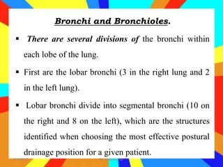 Review of anatomy and physiology of respiratory system | PPTX