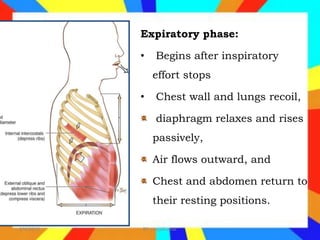 Review of anatomy and physiology of respiratory system | PPT