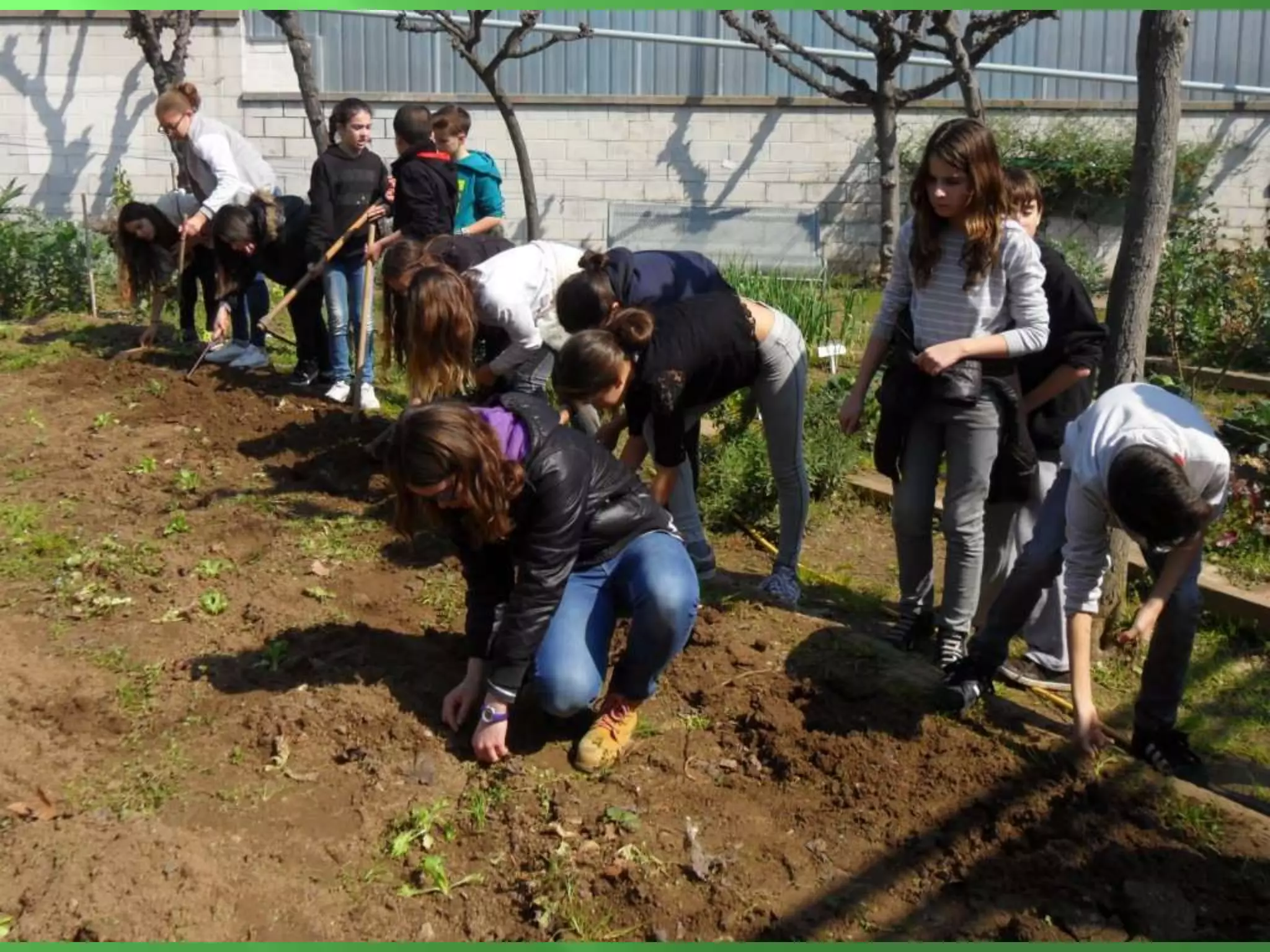 Taller de 1r d'ESO a l'hort | PPTX
