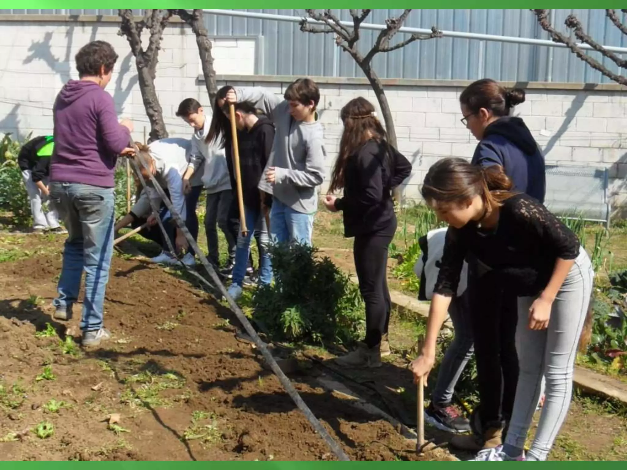 Taller de 1r d'ESO a l'hort | PPTX