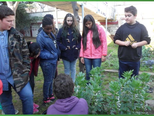 Taller de 1r d'ESO a l'hort | PPTX