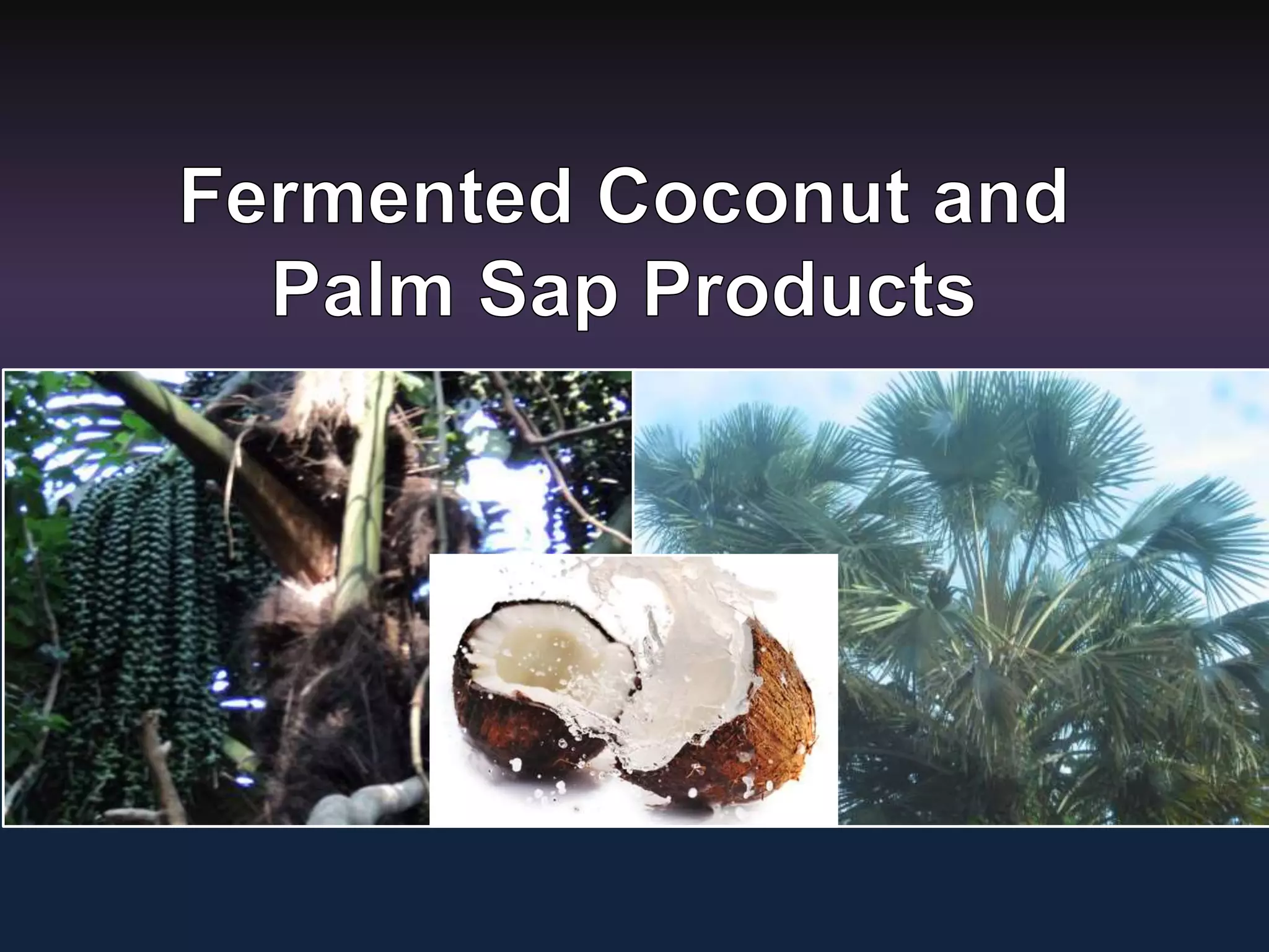 1 rich fermented coconut palm sap products | PPTX