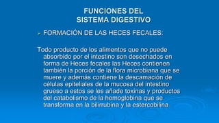 1ro generalidades de anatomía | PPT