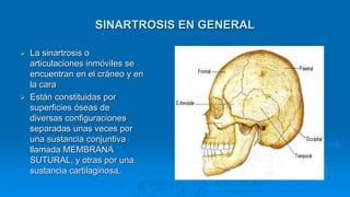 1ro generalidades de anatomía | PPT