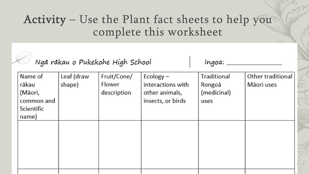 Plant research project and worksheet of english | PPT