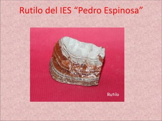 1 rutilo 2 c laura jurado | PDF
