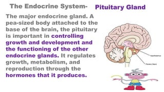 1s3l9rkh0_THE-ENDOCRINE-SYSTEM-SCIENCE.pdf