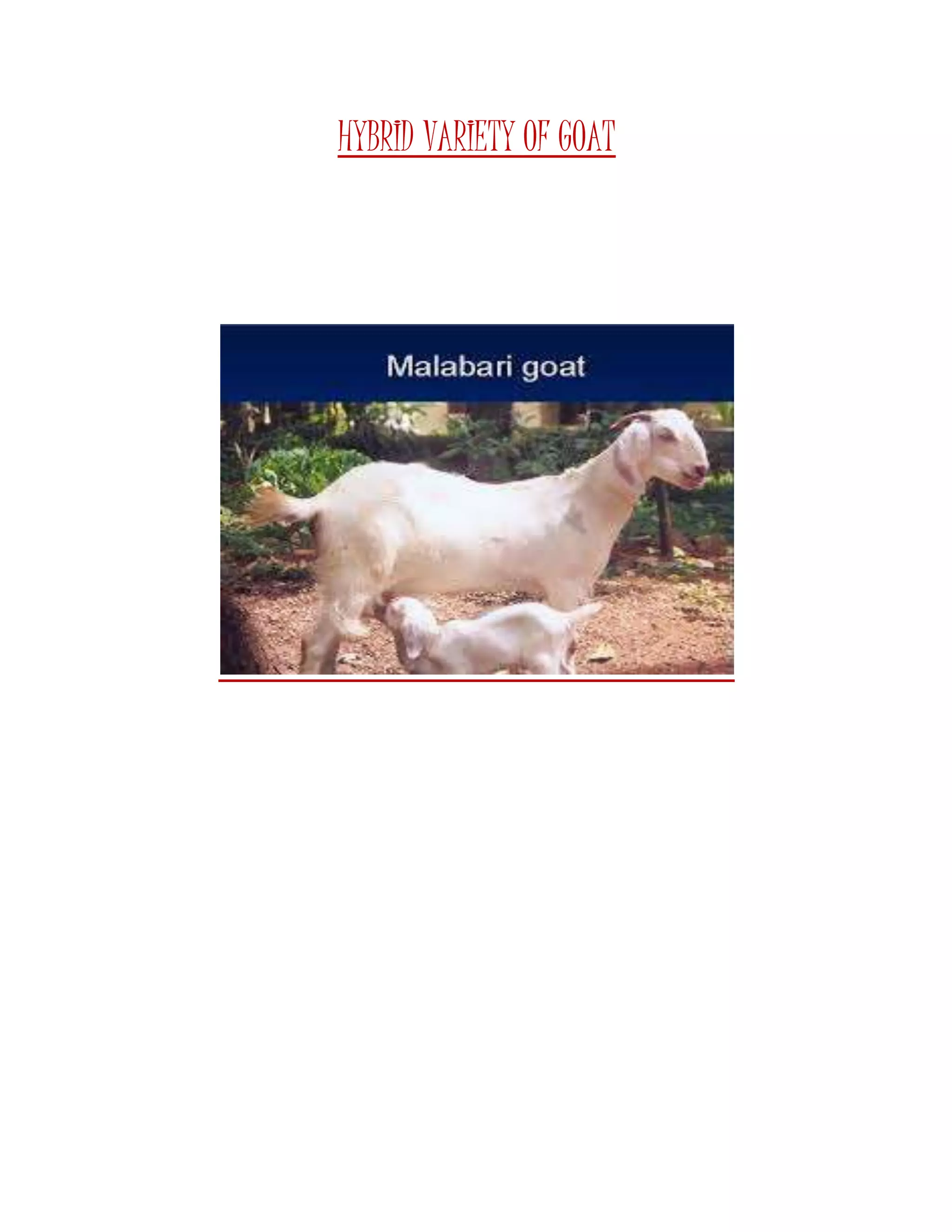 Blog - 1 sabarigiri b - Raji S | DOCX