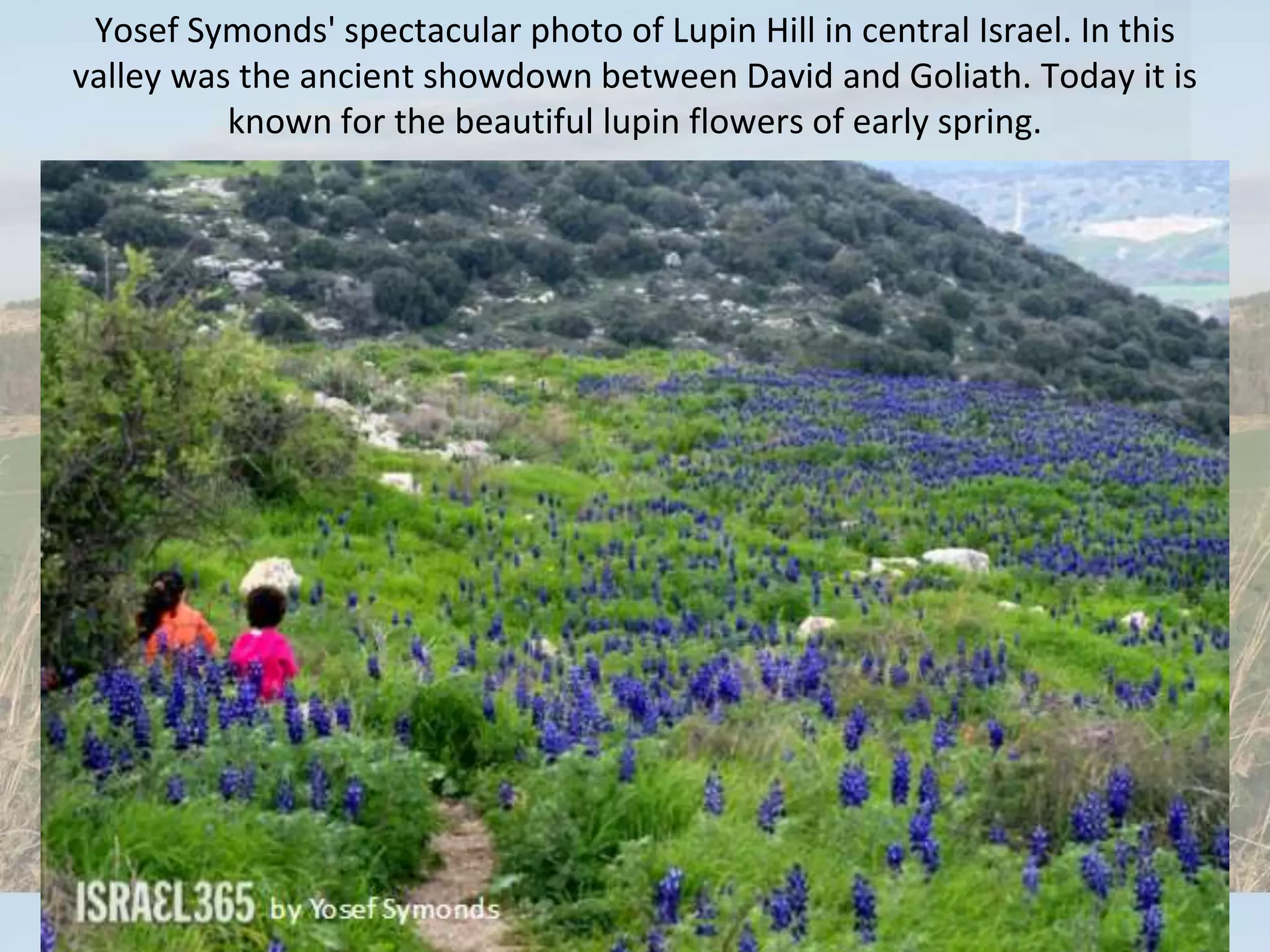 1 Samuel 17, The Valley of Elah; Nephilim, Giants; Goliath; Bronze age ...