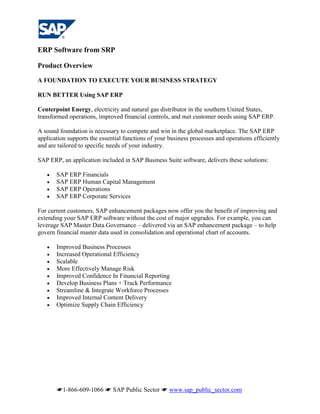 SAP - Public Sector - Overview | PDF