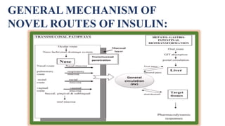 Novel routes of insulin for diabetes treatment | PPTX | Endocrine and ...