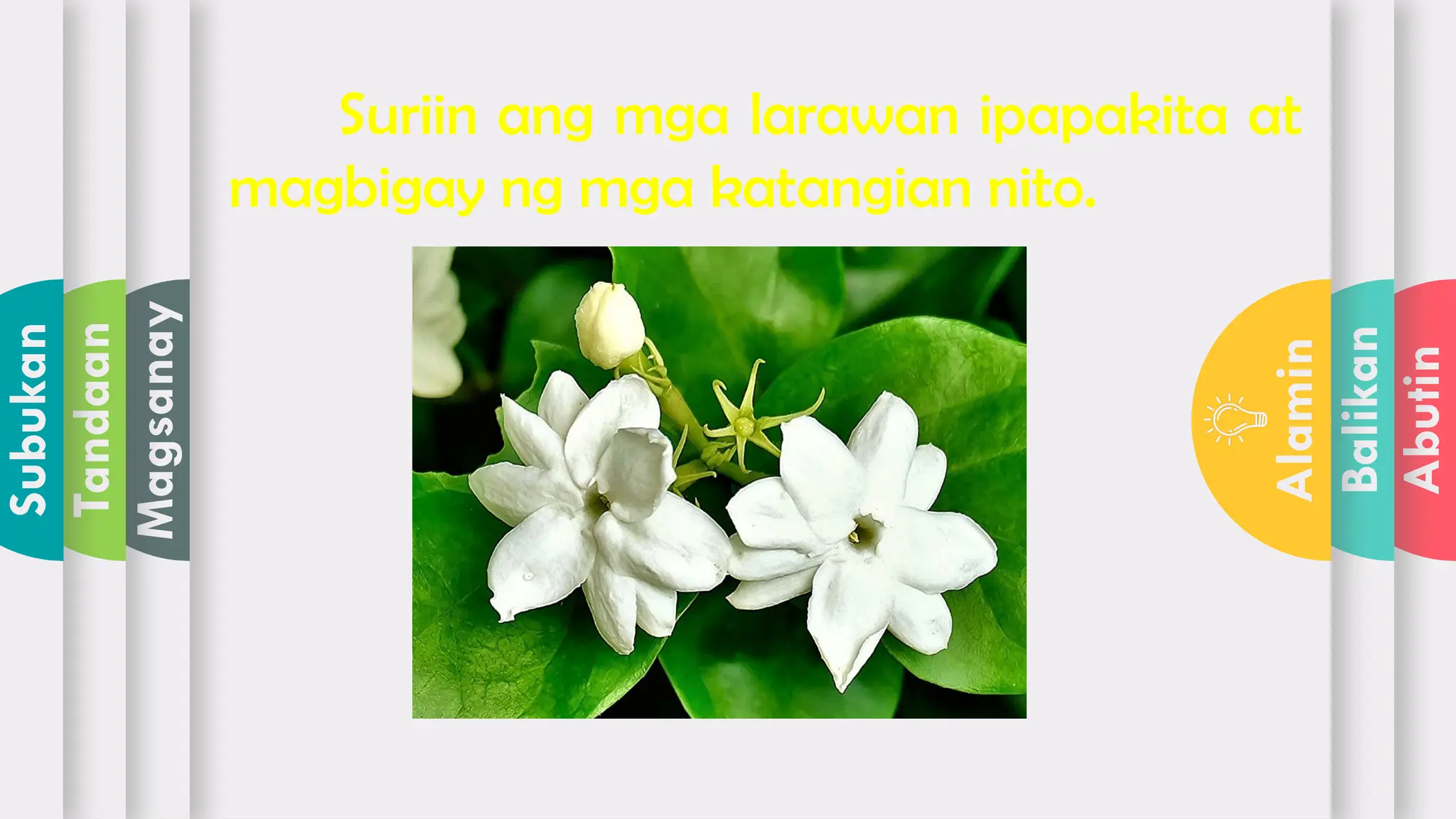 1 Science 3 Q2 Week 1 ANG MGA PANDAMA AT ANG MGA GAMIT NITO.pptx